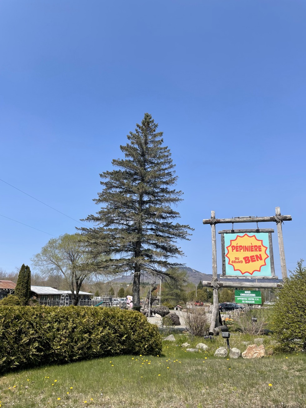 Pépinière du Grand Ben - Tourisme Memphremagog